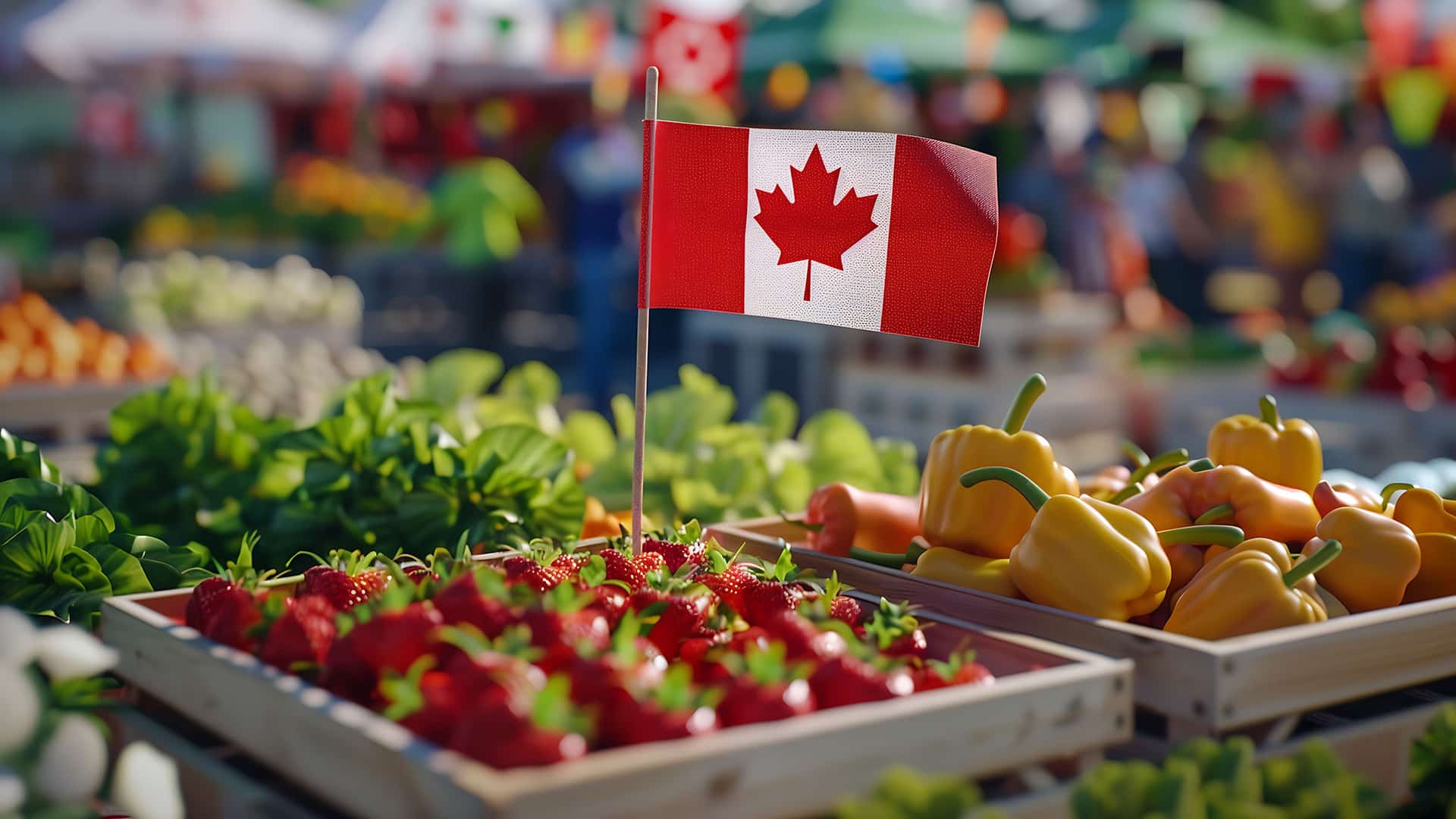Le commerce interprovincial : une opportunité à saisir malgré les ...